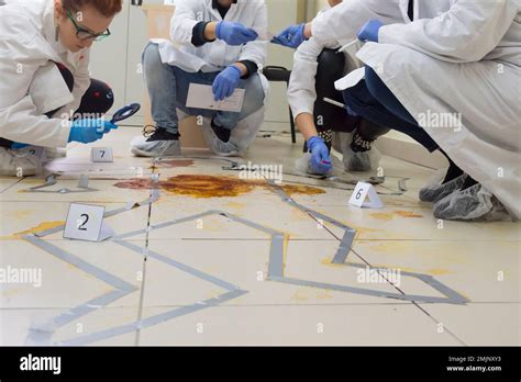 Criminological Expert Collecting Evidence At The Crime Scene Law And