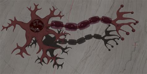Blenderrender Neuron This Was The Simple Neuron Model That I Had