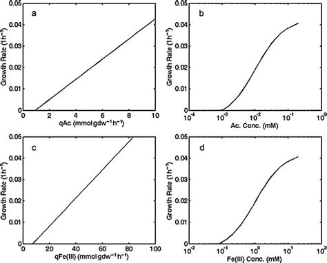 Coupling A Genome Scale Metabolic Model With A Reactive Transport Model