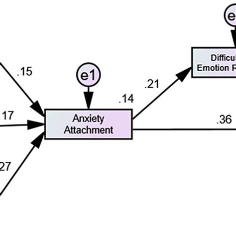 Path Analysis Describing The Direct And Indirect Links Between Paternal