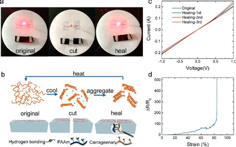 Self Healing Ability Of The Dcn Hydrogel A Investigation Of The