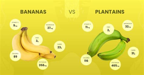 Bananas And Plantains What S The Difference Riviera Produce