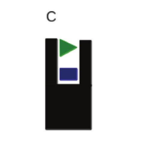 Schematic Representation Of Ligand Binding Modes Binding Of The
