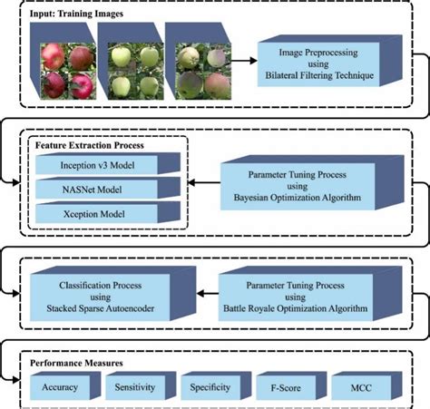 Figure 1 From A Battle Royale Optimization With Feature Fusion Based Automated Fruit Disease