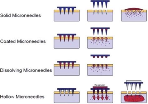 Visit To Argonne National Laboratory 33