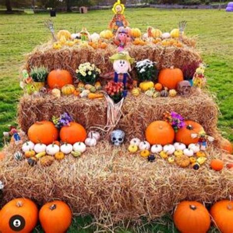 Five Pumpkin Picking Patches Around Ireland That Still Have Tickets Available Ahead Of Halloween