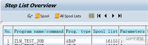 debug系列六：后台job debug sap liumeng 的技术博客 51cto博客