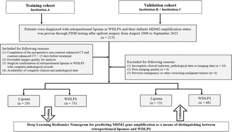 Preoperative Contrast Enhanced Ct Based Deep Learning Radiomics Model