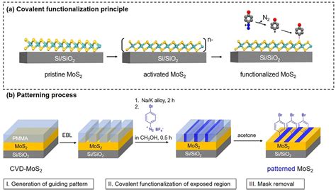 Covalent Patterning Of 2d Mos2 Chen 2021 Chemistry A European
