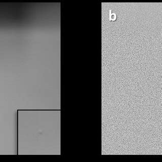 PDF Studying Post Etching Silicon Crystal Defects On 300mm Wafer By Automatic Defect Review AFM