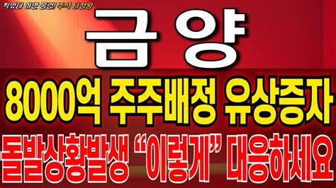 금양 주가 분석 긴급상황발생 8000억 주주배정 유상증자 류광지회장 1000억 참여 자신만만한 진짜 이유 이렇게만 대응하세요 손해보면 안됩니다 금양 유상증자