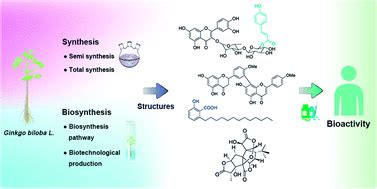 Structure Synthesis Biosynthesis And Activity Of The Characteristic Compounds From Ginkgo