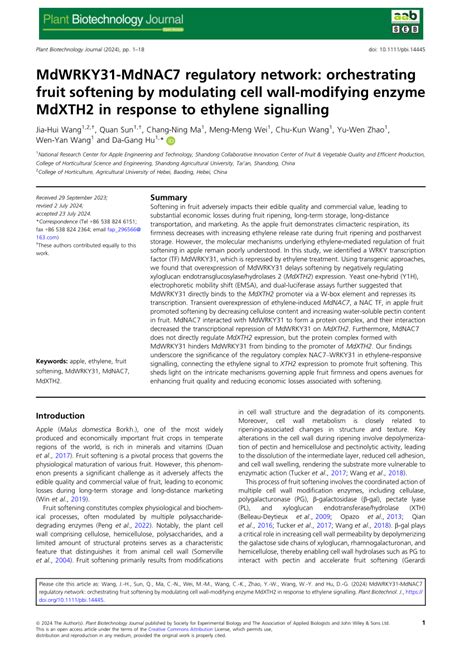 Pdf Mdwrky31‐mdnac7 Regulatory Network Orchestrating Fruit Softening