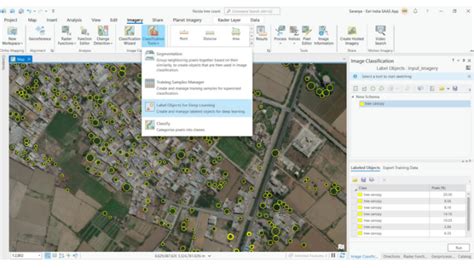 Make Every Tree Count With Arcgis Technology Esri India