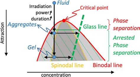 Schematic State Diagram Illustrating The Physical Pathway Leading To Download Scientific