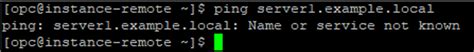 Configure Two Way Domain Name Resolution For Oci And On Premises Services