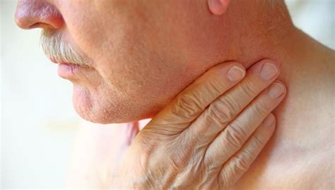 Fat In The Lymph Nodes Why The Immune System Decreases With Age Archyde