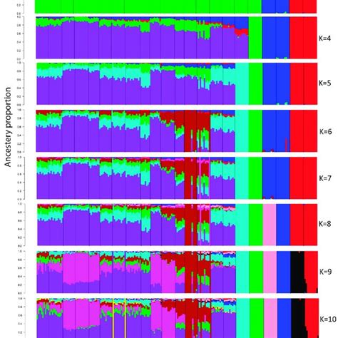 Admixture Analysis Results For All Ethiopian And Non Ethiopian Cattle Download Scientific