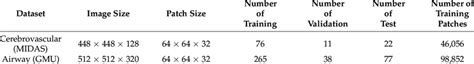 cerebrovascular dataset and airway dataset download scientific diagram