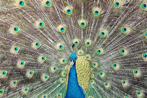 Craig Brown On Linkedin How To Train An Instance Segmentation Model