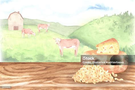 치즈는 풀을 뜯는 소가있는 푸른 언덕의 배경에 테이블 위에 놓여 있습니다 머리 조각 및 강판 치즈 수채화 그림입니다 흰색 배경에 격리되어 있습니다 유제품 디자인용 우유에