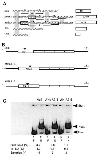 Dna Sequences Dna Segments And Reconstituted Nucleosomes A The Top Download Scientific