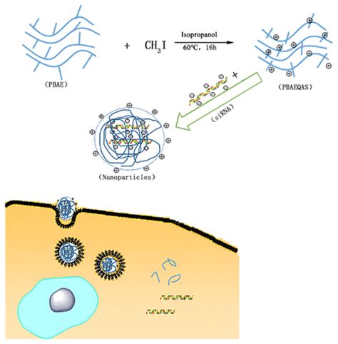 Synthesis And Characterization Of Quaternized Polyβ Amino Ester For