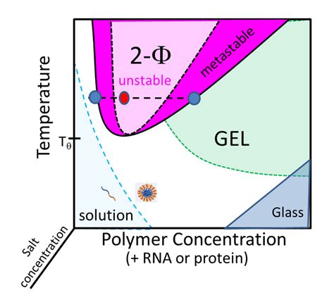 Polyelectrolyte Solutions And Gels Nist