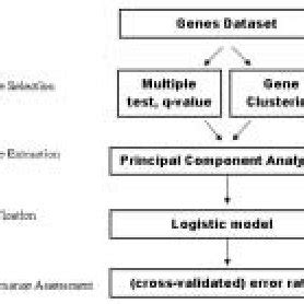 Scheme Of The Data Analysis Steps Download Scientific Diagram