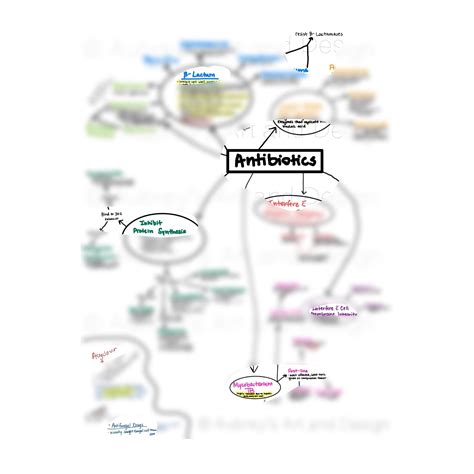 Comprehensive Antibiotics Microbiology Mind Map Illustrated Study