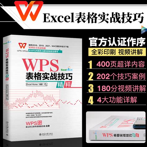 2021新书 Wps表格实战技巧精粹 Excel Home编 Excel函数公式大全计算机教程书籍自学全套办公软件零基础书电脑wps表格制作