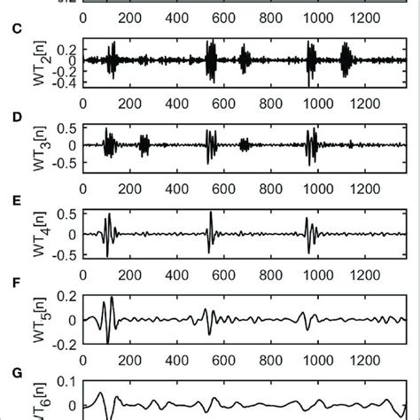 Wavelet Transform Wt Decomposition On A Simulated Fetal Download Scientific Diagram