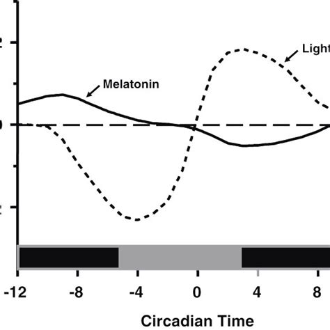 Schematic Representation Of The Phase Response Curves To Light And Download Scientific Diagram