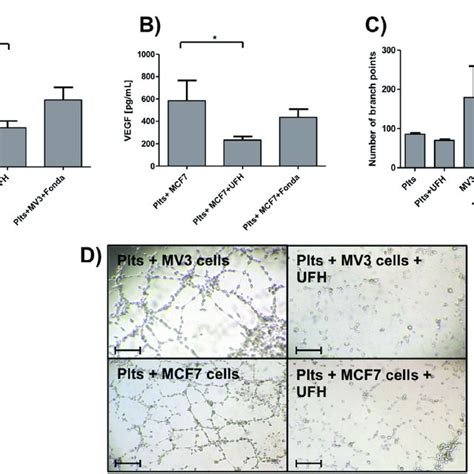 Tumor Cell Induced Platelet Activation Platelets In Citrated Plasma