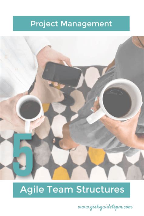 agile teams roles and structures that work girl s guide to project