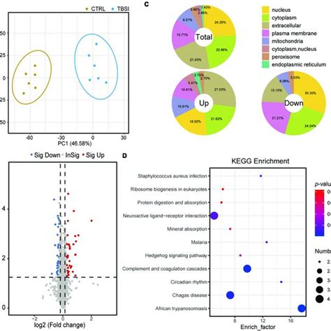 transcriptomic data analysis of rat brainstem a principal component