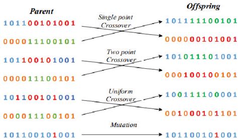 Figure 1 From Exploring The Use Of Particle Swarm Optimization