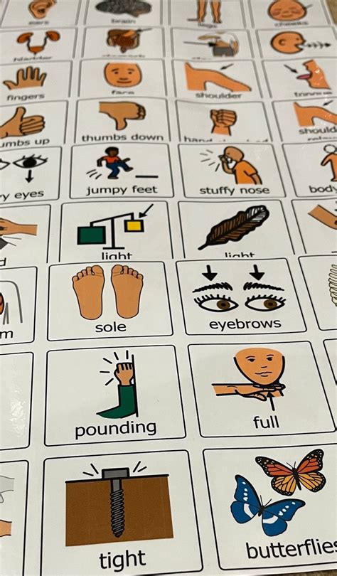 Interoception Symbols Symbols Visual Support Visual Aid Etsy