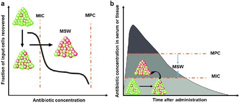 The Concepts Of Mutant Selection Window Msw And Mutant Prevention Download Scientific Diagram