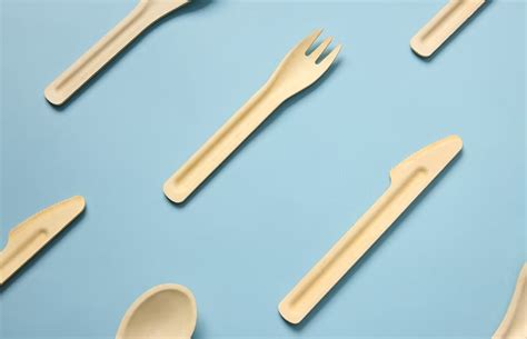 Fibre Based Material Developed To Replace Plastic In Food Packaging Applications Thepackhub