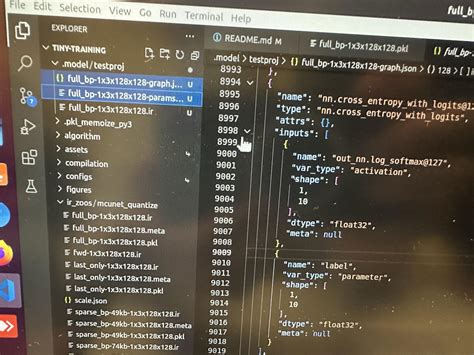 Cannot Run Codegen To Generate Code For Other Models · Issue 49 · Mit Han Labtinyengine · Github