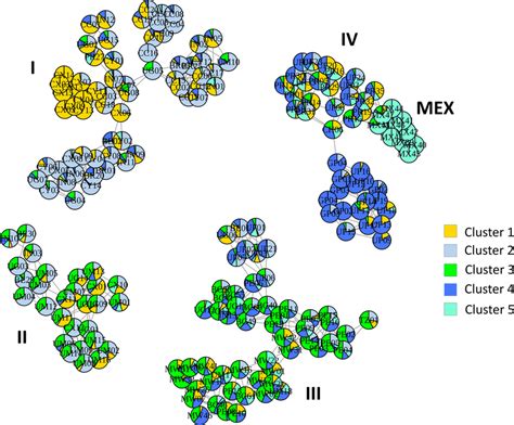 Maximum Likelihood Distance Network With Admixture Analysis Of Invasive Download Scientific