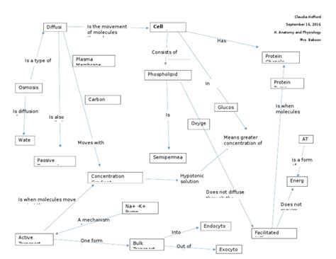 Cell Membrane Concept Map Pdf