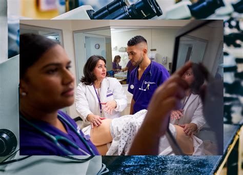Nursing Honors Program Common Questions And Answers MEET NYU