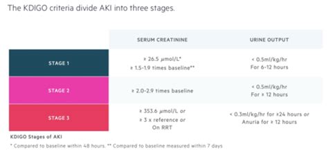 MS Flashcards Quizlet