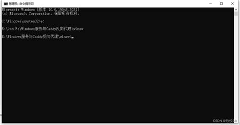 windows服务winsw与caddy2反向代理 caddy2 windows csdn博客