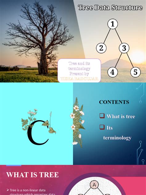 Tree And Its Terminology Pdf Algorithms And Data Structures