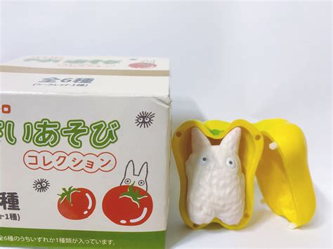 소토토로 야채 파프리카🫑 콜리 Colley