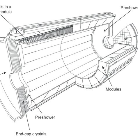 Layout Of The Cms Electromagnetic Calorimeter Showing The Barrel Download Scientific Diagram