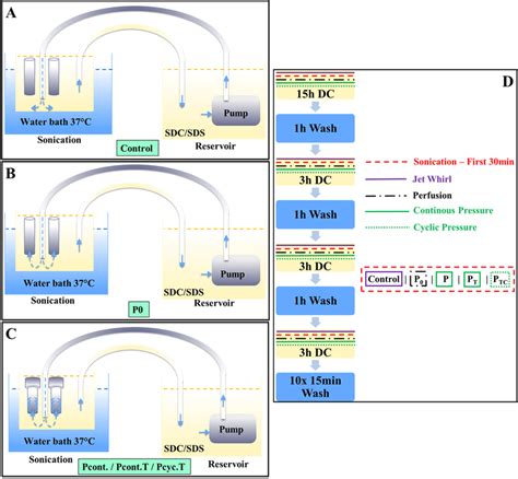 Schematic Representation Of The Bioreactor And The Used Download